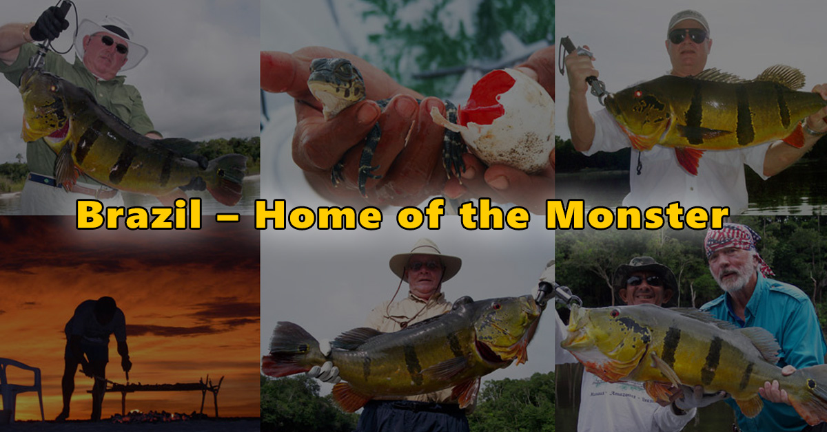 Brazil Peacock Bass Fishing with Ron Speed Jr's Adventures | Ron Speed ...